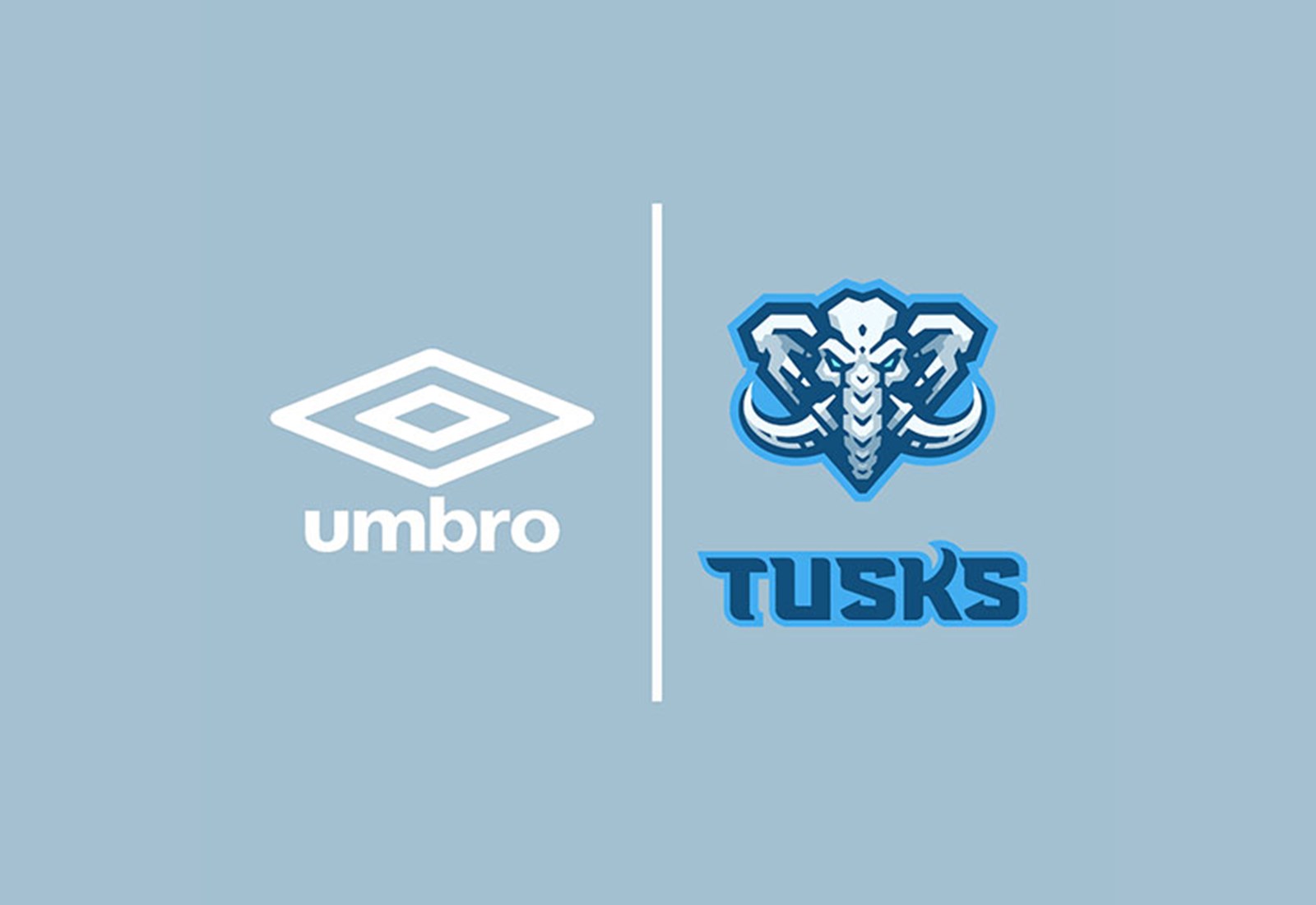 Umbro Football